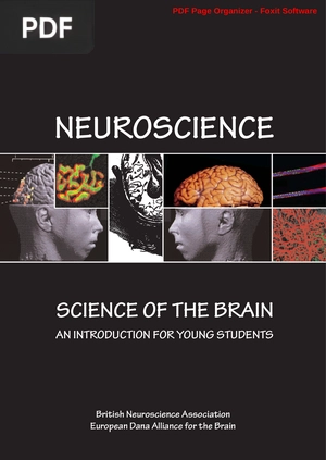 15+ Neuroscience Books for Free! [PDF]