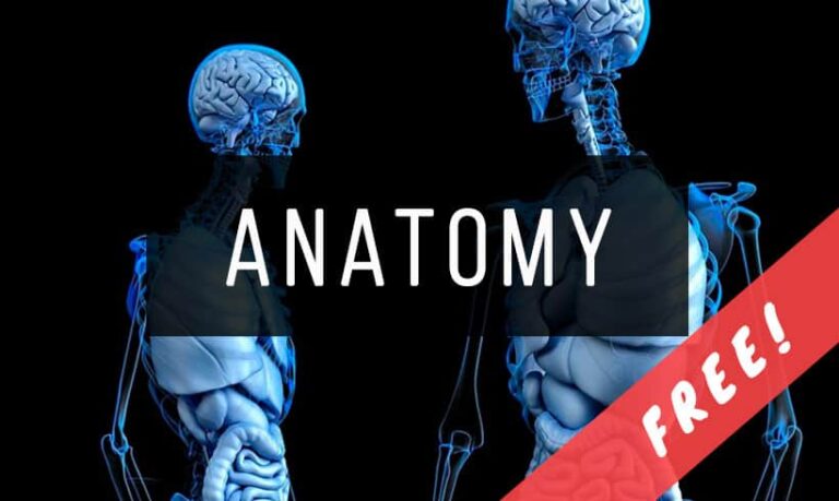 20+ Anatomy Books for Free! [PDF] | InfoBooks.org