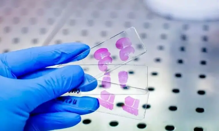 15+ Histology Books for Free! [PDF] | InfoBooks.org